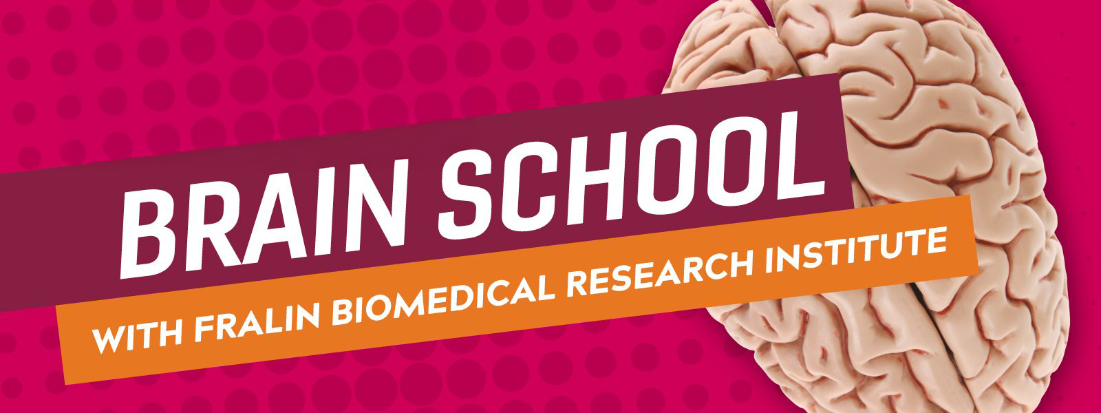 Brain School with Fralin Biomedical Research Institute at Virginia Tech ... Brain School with Fralin Biomedical Research Institute at Virginia Tech ...